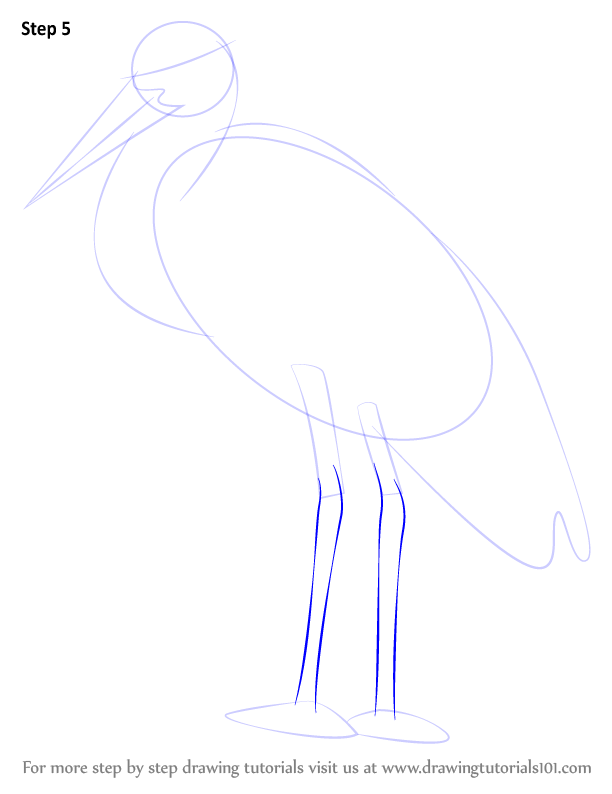 How to Draw a Stork (Seabirds) Step by Step | DrawingTutorials101.com