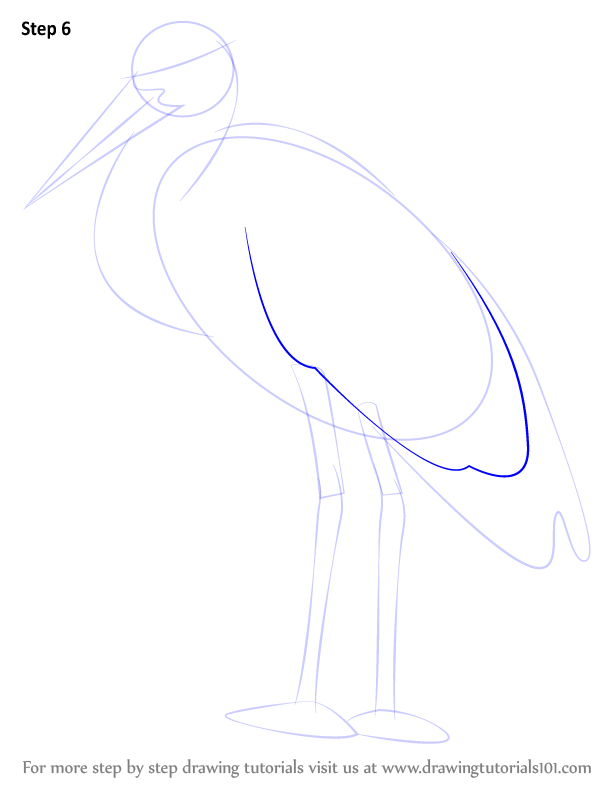 How to Draw a Stork (Seabirds) Step by Step | DrawingTutorials101.com