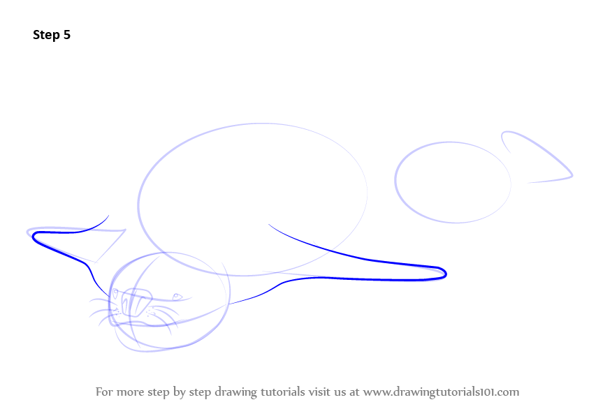 How to Draw a Leopard Seal (Seals) Step by Step | DrawingTutorials101.com
