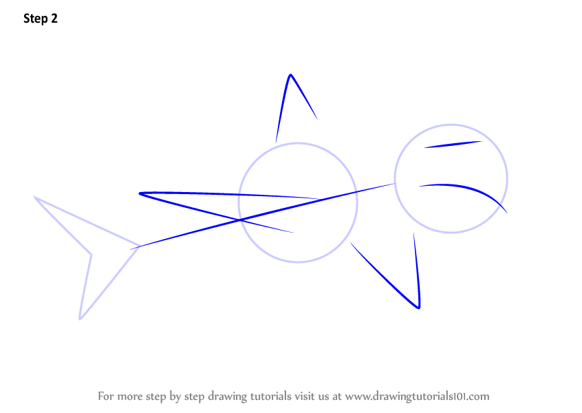 How to Draw a Caribbean Reef Shark (Sharks) Step by Step ...
