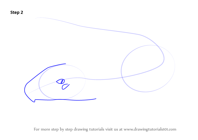 How to Draw an Epaulette Shark (Sharks) Step by Step ...