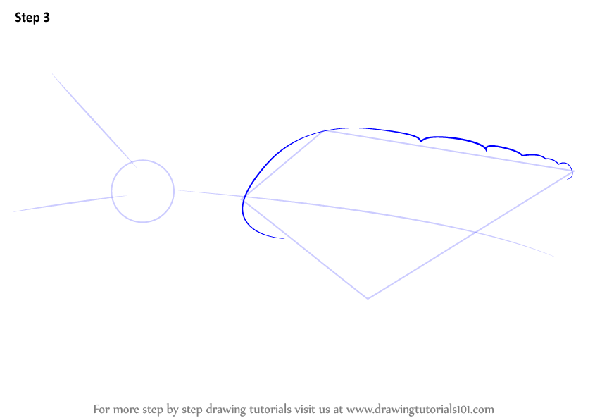 How to Draw a Giant African Snail (Snails) Step by Step ...