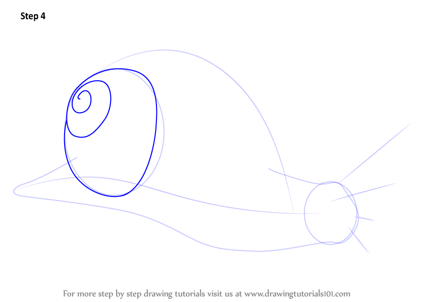How to Draw a Snail (Snails) Step by Step | DrawingTutorials101.com