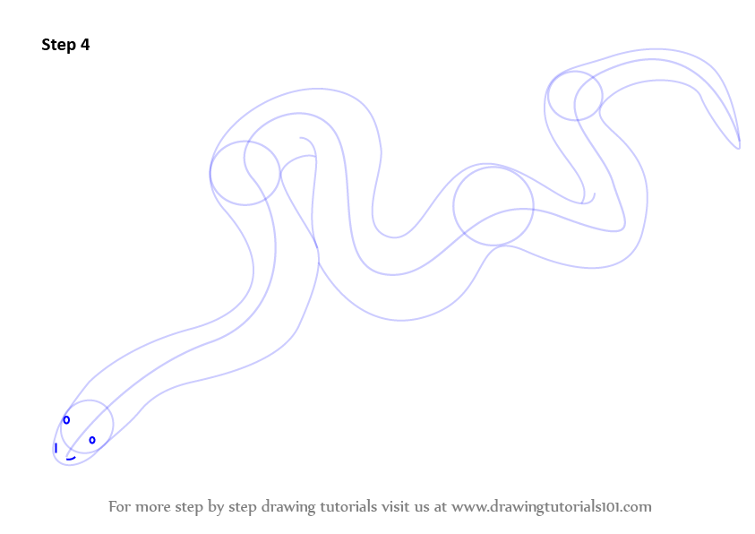 How to Draw a Kenyan Sand Boa (Snakes) Step by Step ...