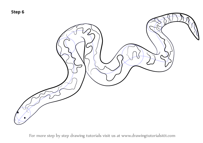 How to Draw a Kenyan Sand Boa (Snakes) Step by Step ...