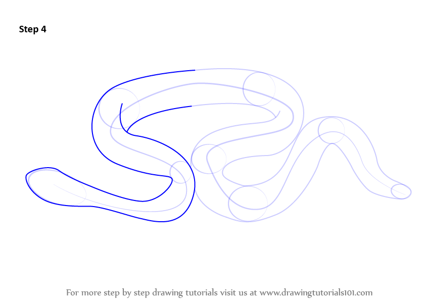 How to Draw a Leaf-Scaled Sea Snake (Snakes) Step by Step ...