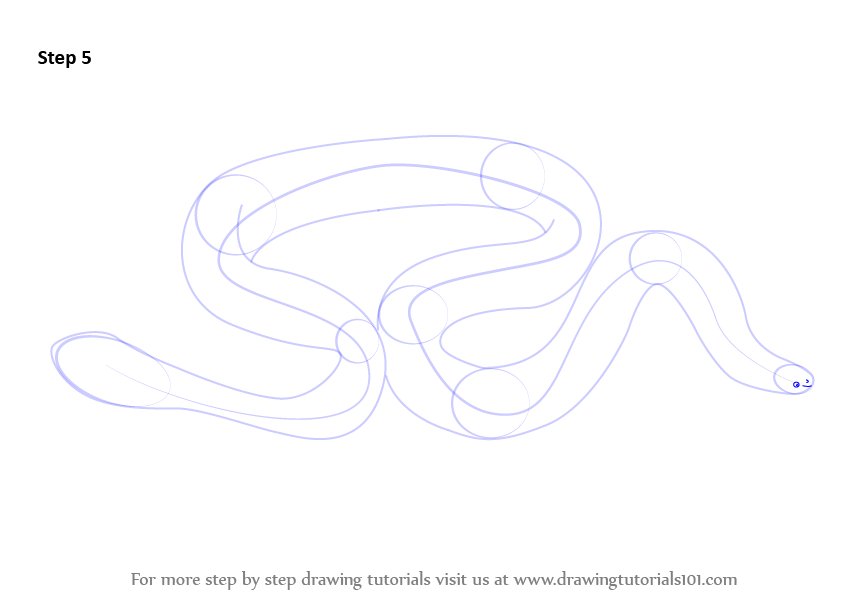 How to Draw a Leaf-Scaled Sea Snake (Snakes) Step by Step ...