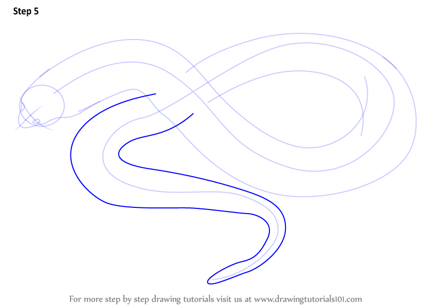 How to Draw a Tiger Snake (Snakes) Step by Step | DrawingTutorials101.com