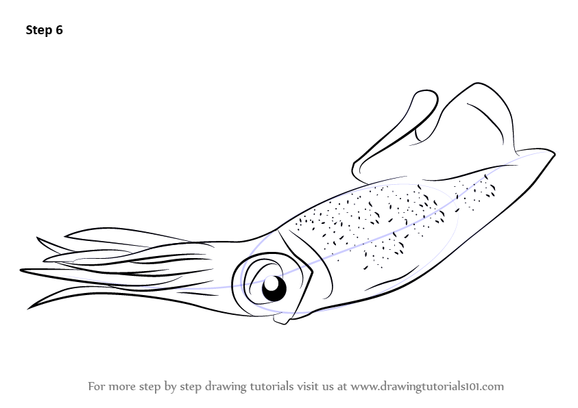 How to Draw a Firefly Squid (Squids) Step by Step | DrawingTutorials101.com