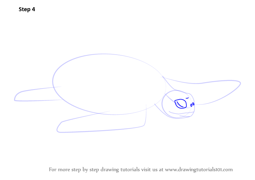 How to Draw a Green Turtle (Turtles and Tortoises) Step by Step ...
