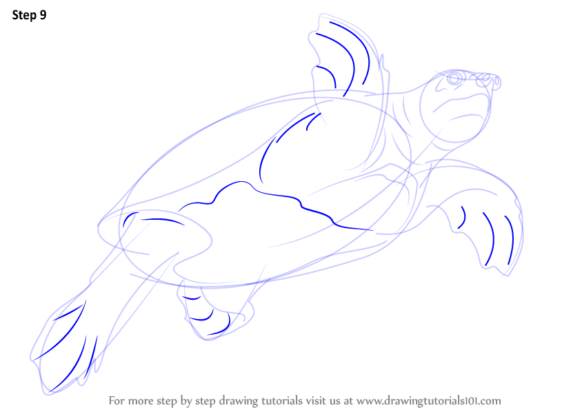 How to Draw a Pig-Nosed Turtle (Turtles and Tortoises) Step by Step ...