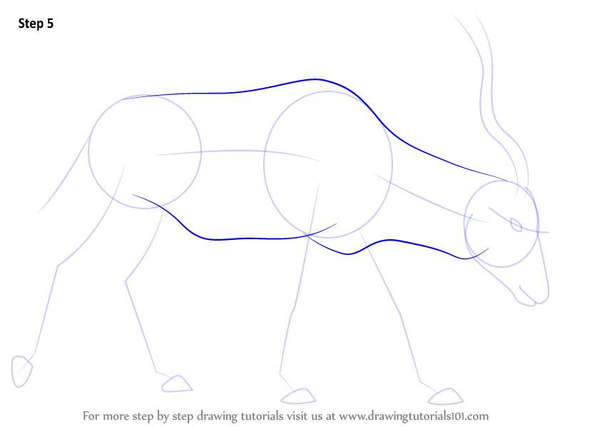 Addax Pencil Drawing How To Sketch Addax Using Pencils Goat Pencil