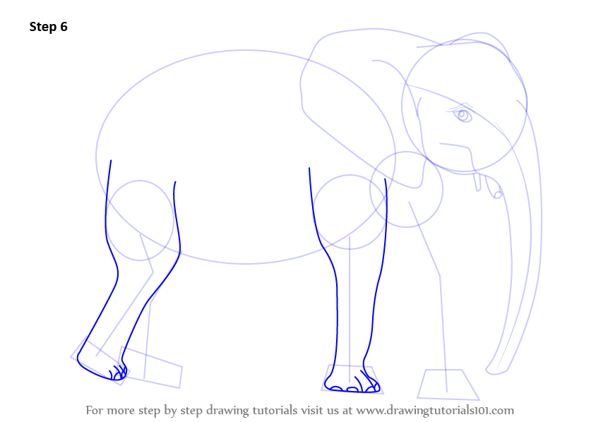 How to Draw an African Elephant (Wild Animals) Step by Step ...