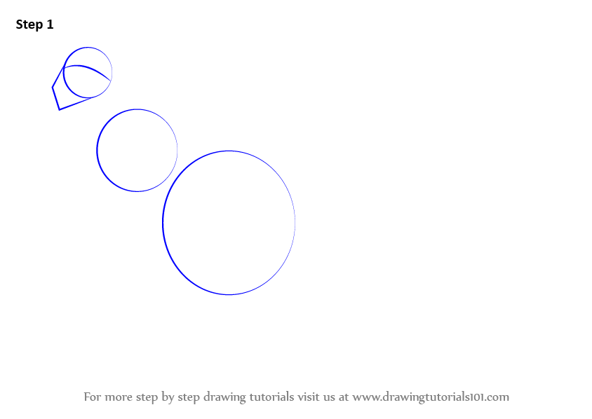 How to Draw an Agile Wallaby (Wild Animals) Step by Step ...