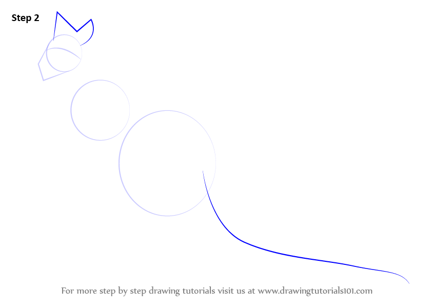 How to Draw an Agile Wallaby (Wild Animals) Step by Step ...