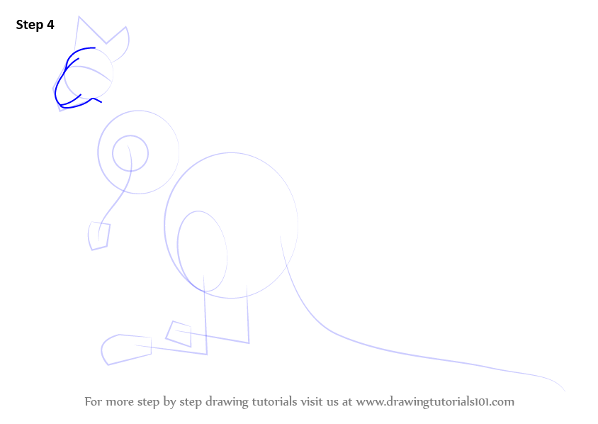 How to Draw an Agile Wallaby (Wild Animals) Step by Step ...