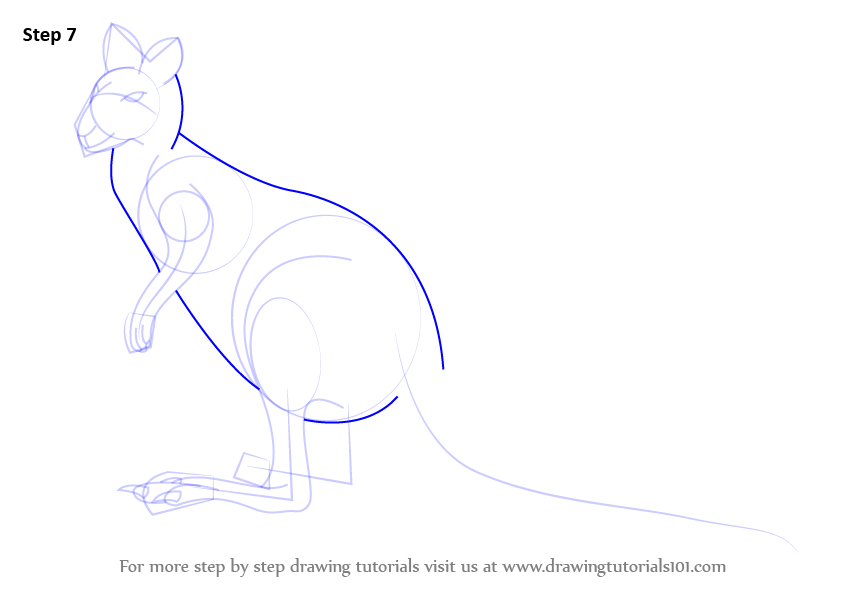 How to Draw an Agile Wallaby (Wild Animals) Step by Step ...