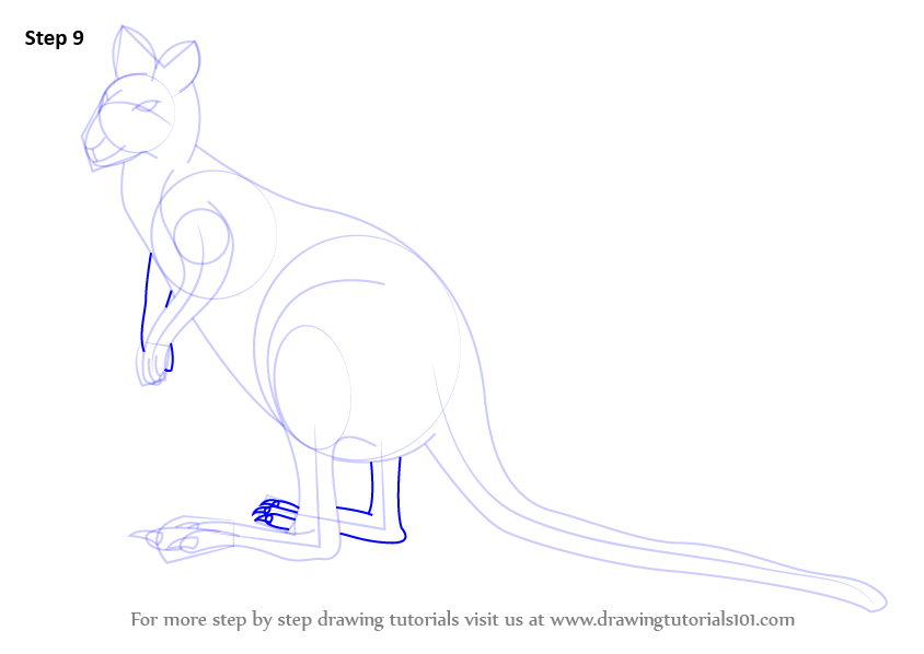 How to Draw an Agile Wallaby (Wild Animals) Step by Step ...