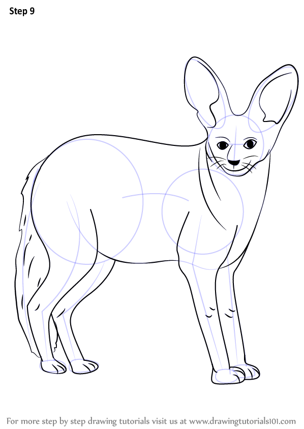 How To Draw A Fox Bat
