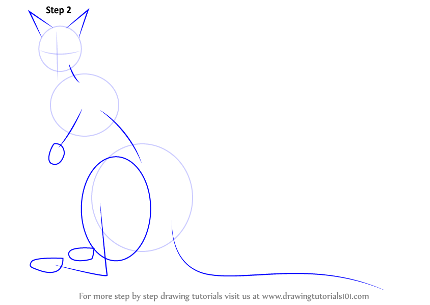 How to Draw a Bennett's Wallaby (Wild Animals) Step by Step ...