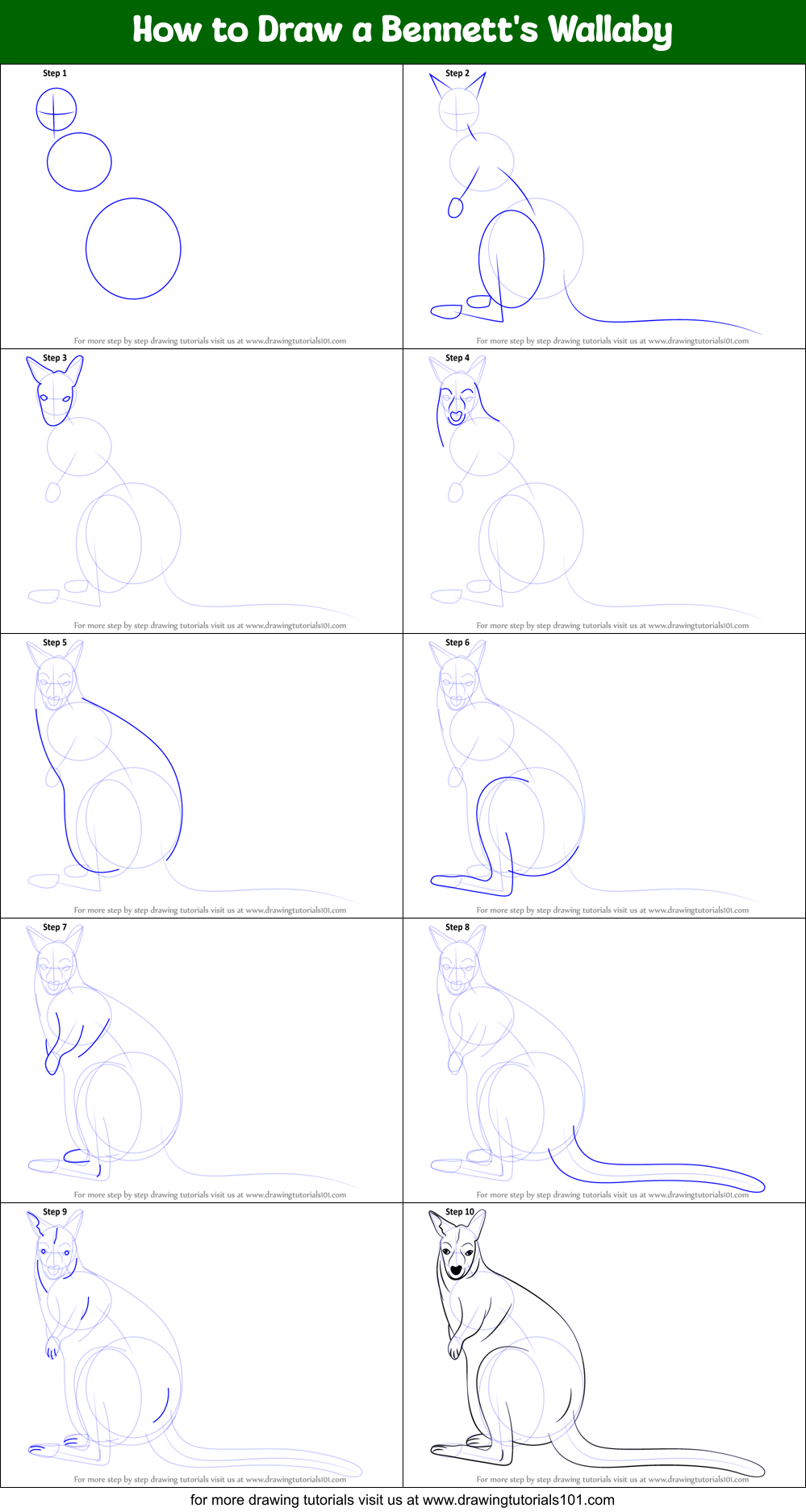 How to Draw a Bennett's Wallaby (Wild Animals) Step by Step ...