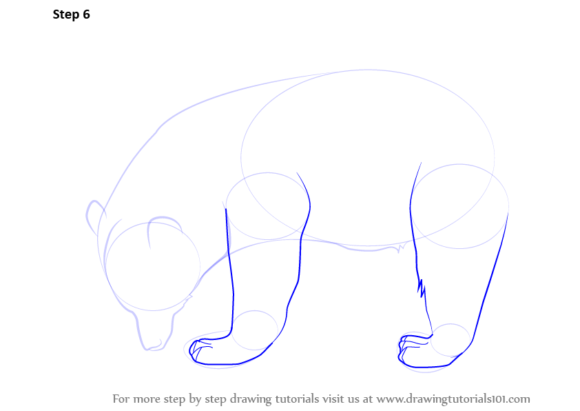 How to Draw a Black Bear (Wild Animals) Step by Step ...