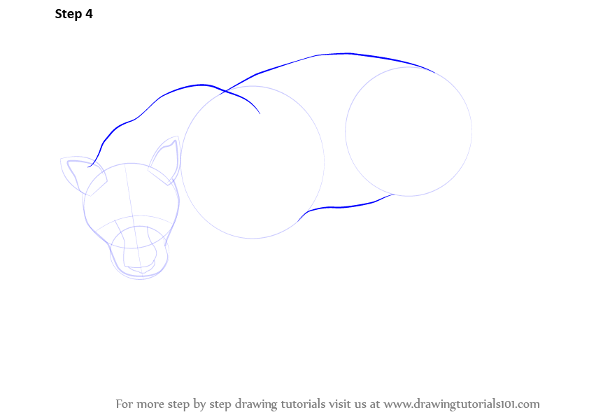 How to Draw a Black Panther (Wild Animals) Step by Step | DrawingTutorials101.com