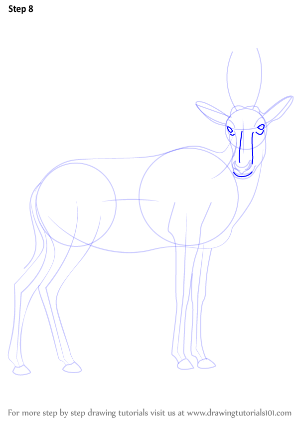 How to Draw a Blesbok (Wild Animals) Step by Step | DrawingTutorials101.com