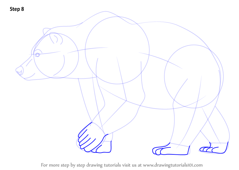 How to Draw a Brown Bear (Wild Animals) Step by Step ...