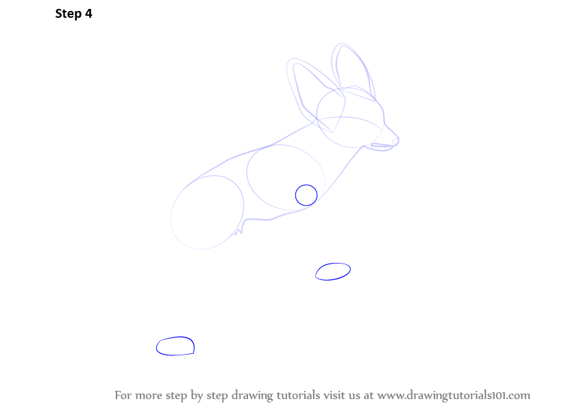 How to Draw a Fennec Fox (Wild Animals) Step by Step ...