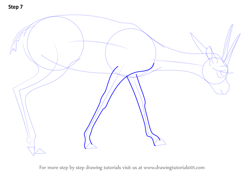 How to Draw a Gazelle (Wild Animals) Step by Step | DrawingTutorials101.com