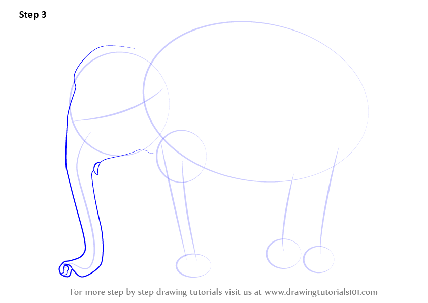 How to Draw an Indian Elephant (Wild Animals) Step by Step ...