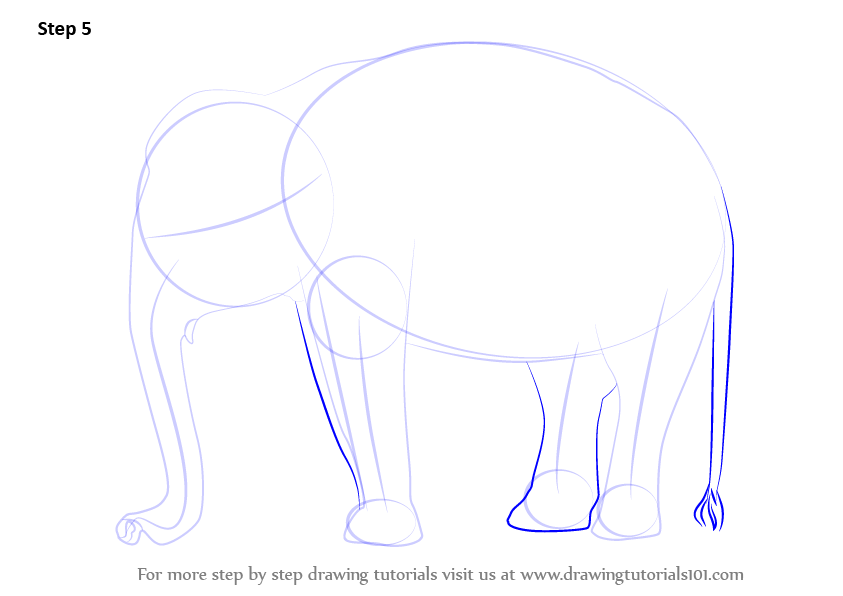 How to Draw an Indian Elephant (Wild Animals) Step by Step ...