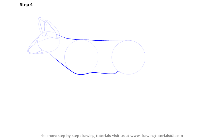 How to Draw a Jackal (Wild Animals) Step by Step | DrawingTutorials101.com