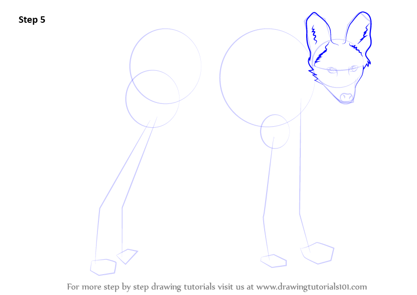 How to Draw a Maned Wolf (Wild Animals) Step by Step ...