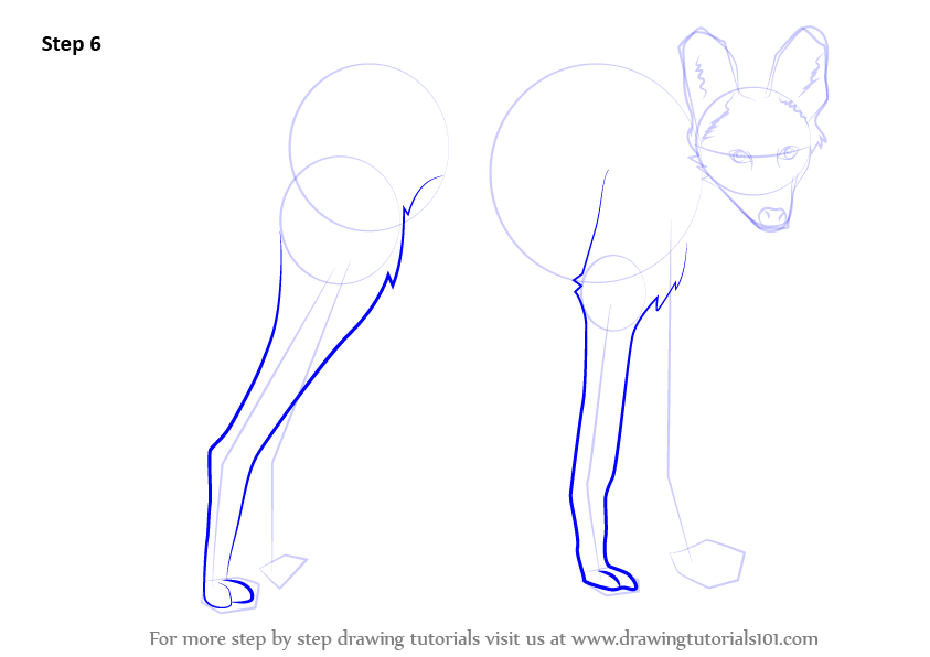 How to Draw a Maned Wolf (Wild Animals) Step by Step ...