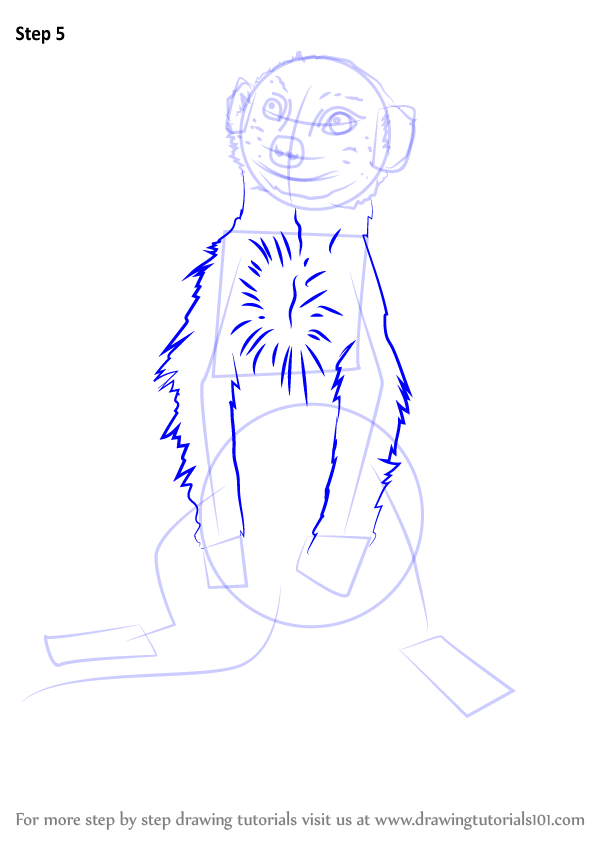 How to Draw a Meerkat Sitting (Wild Animals) Step by Step ...