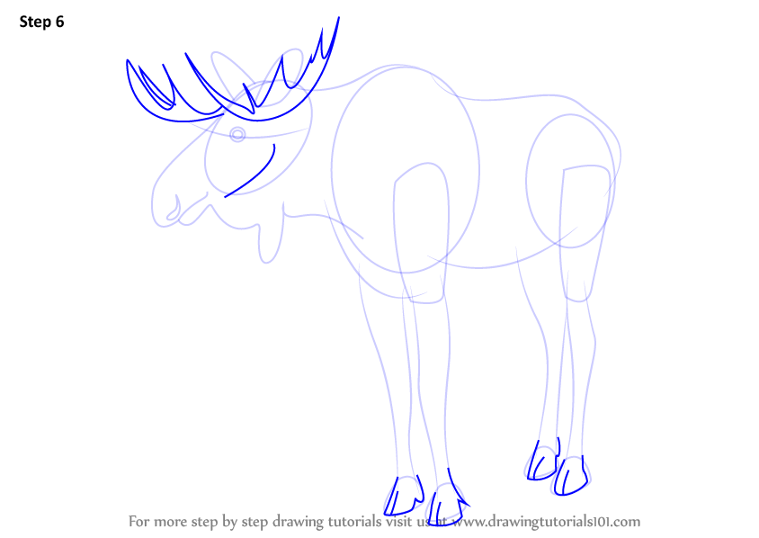 How to Draw a Moose (Wild Animals) Step by Step | DrawingTutorials101.com