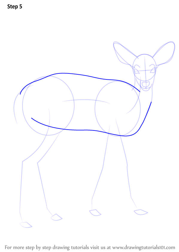 How to Draw a Nyala (Wild Animals) Step by Step | DrawingTutorials101.com