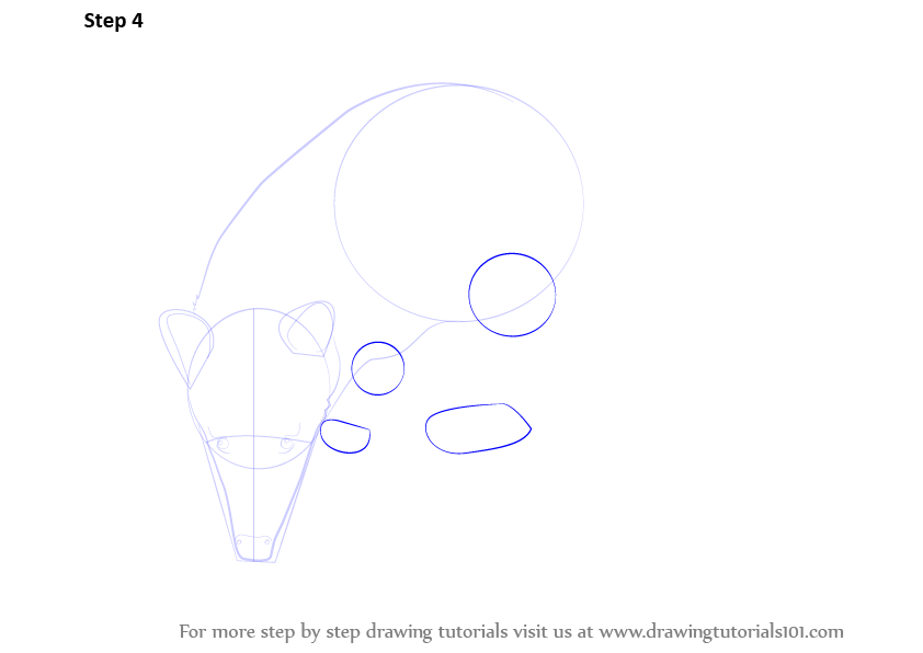 How to Draw a Ring-tailed Coati (Wild Animals) Step by Step ...