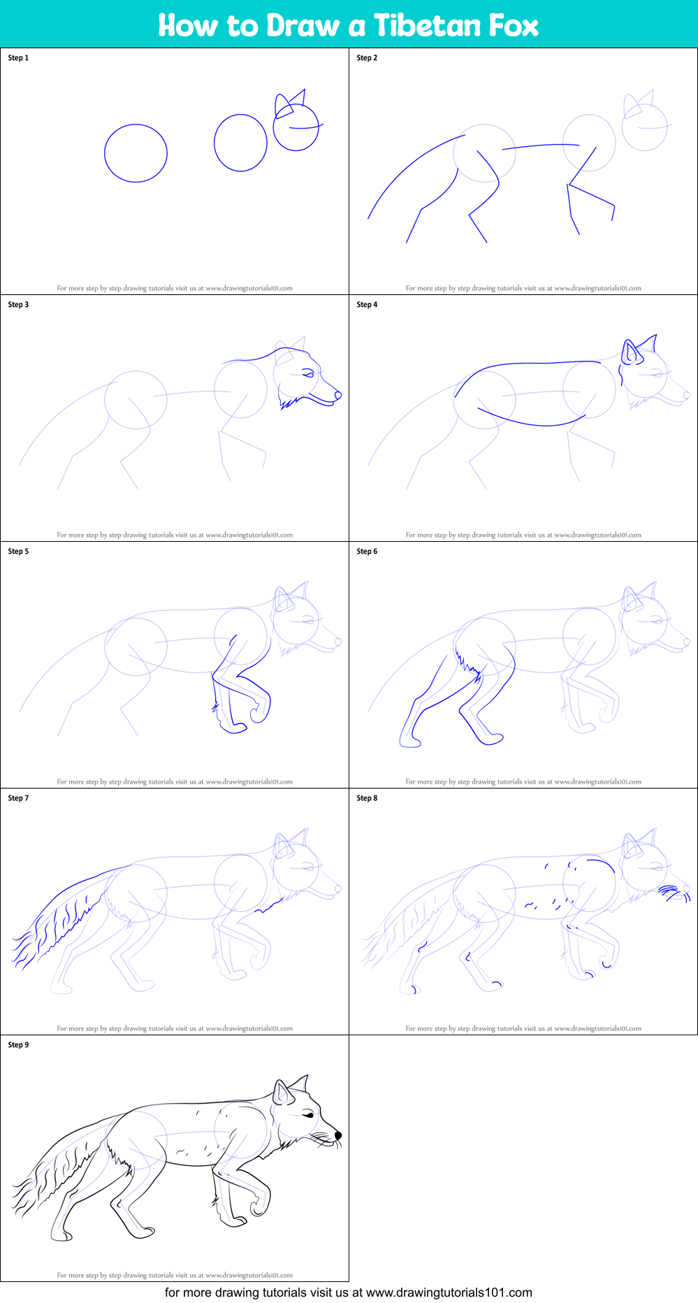How to Draw a Tibetan Fox (Wild Animals) Step by Step ...