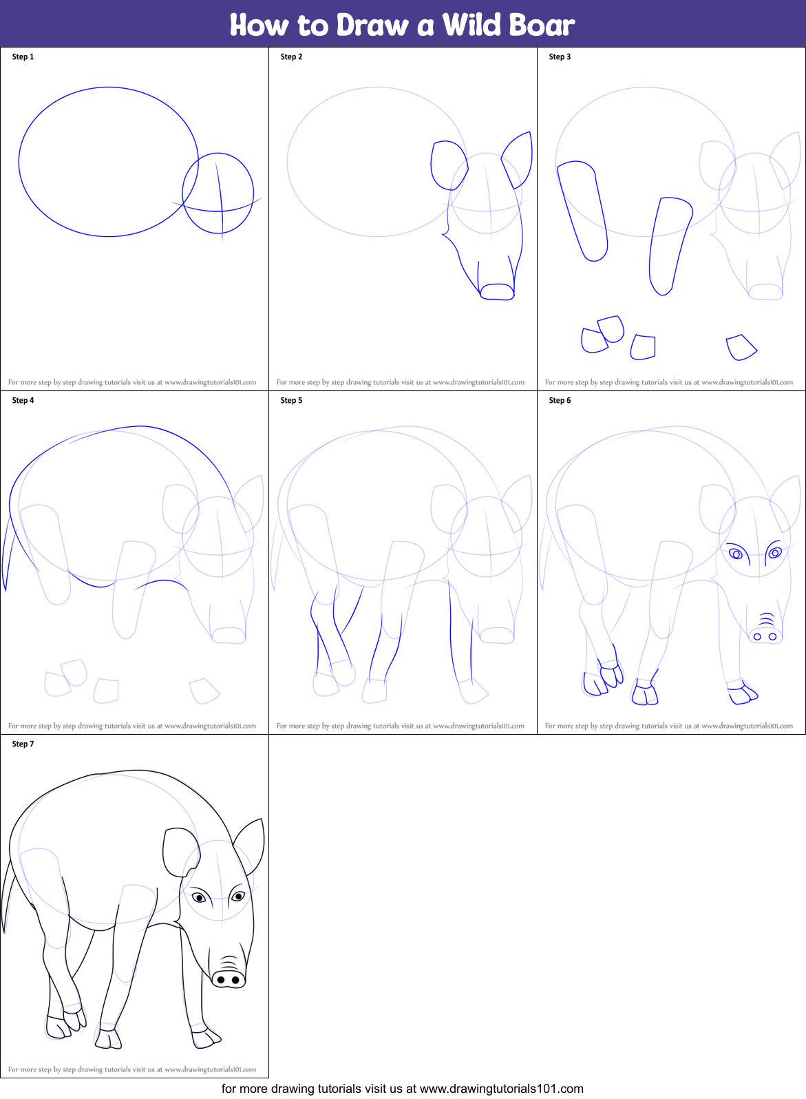 How to Draw a Wild Boar (Wild Animals) Step by Step ...