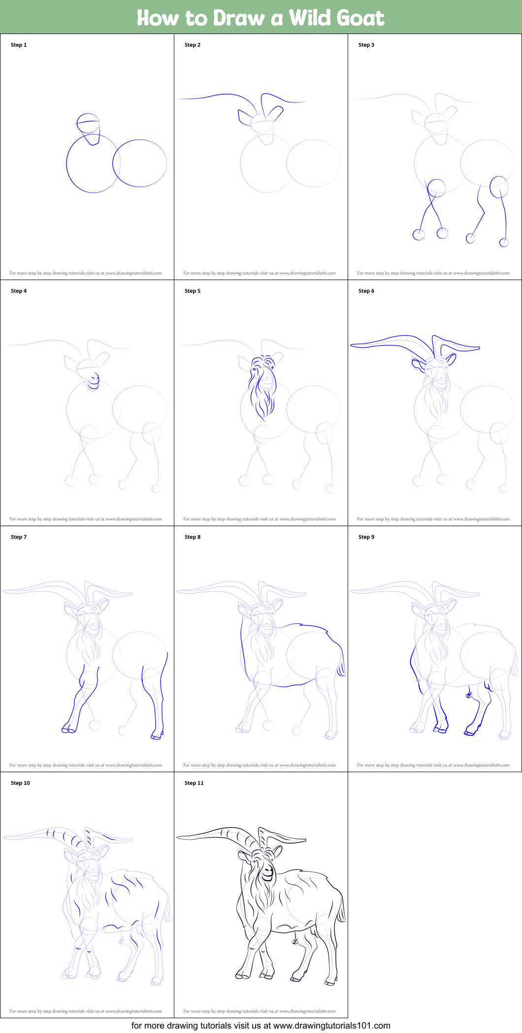 How to Draw a Wild Goat (Wild Animals) Step by Step ...