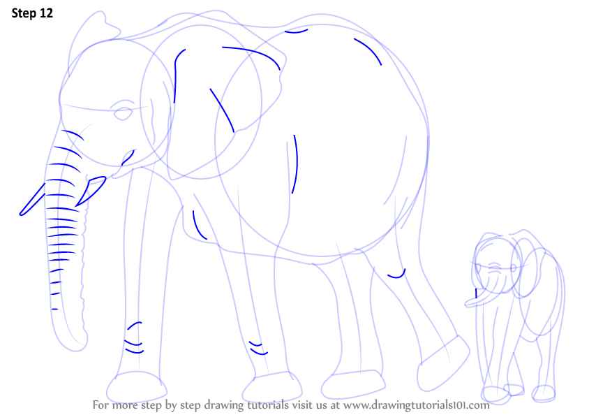 How to Draw an Elephant Family (Zoo Animals) Step by Step ...