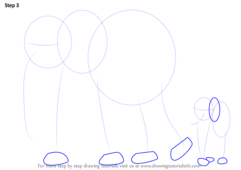 How to Draw an Elephant Family (Zoo Animals) Step by Step ...
