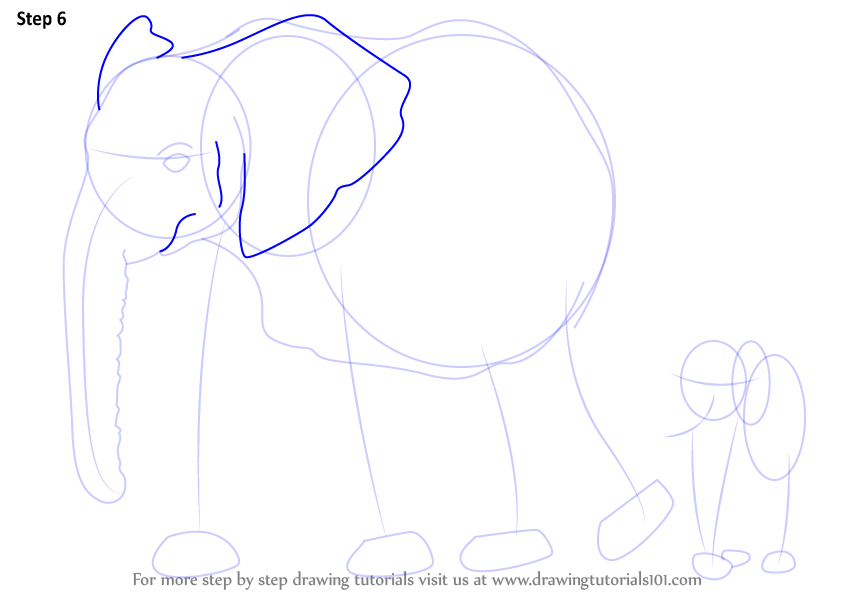 How to Draw an Elephant Family (Zoo Animals) Step by Step ...