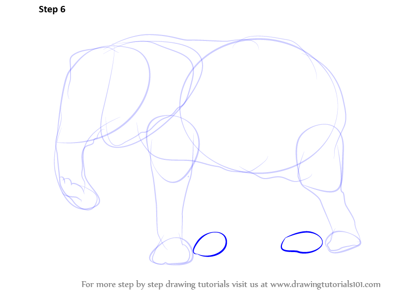 How to Draw an Elephant (Zoo Animals) Step by Step ...