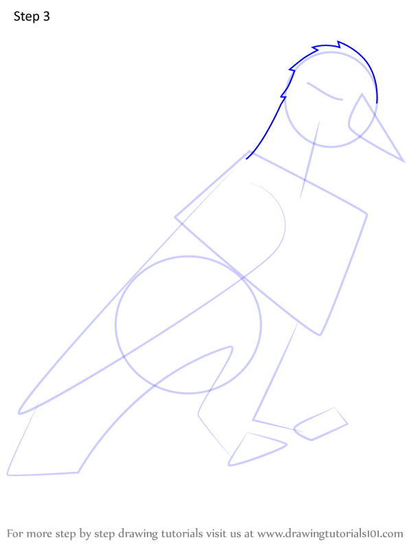 How to Draw Kasugai Crow from Demon Slayer (Demon Slayer) Step by Step ...