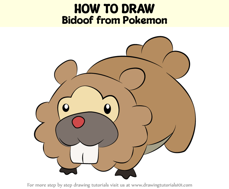 How to Draw Bidoof from Pokemon (Pokemon) Step by Step ...