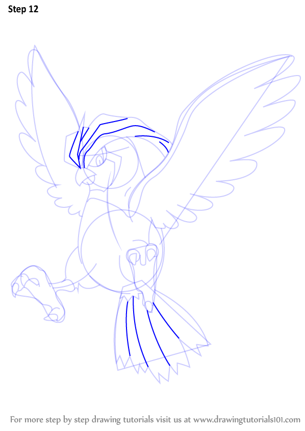 How to Draw Pidgeotto from Pokemon (Pokemon) Step by Step ...